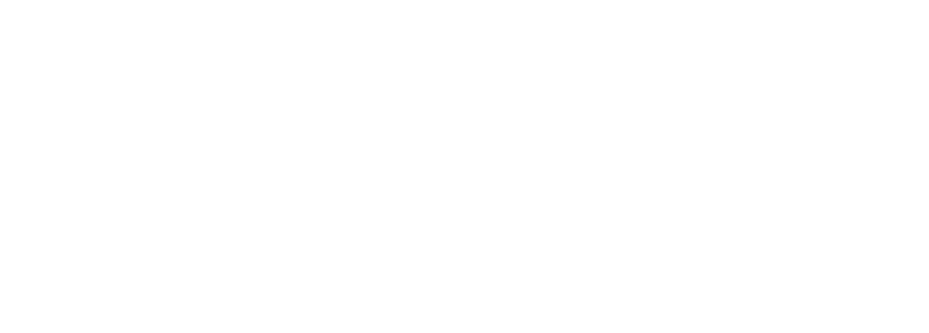 REGENCY Luxury Pontoon Boats