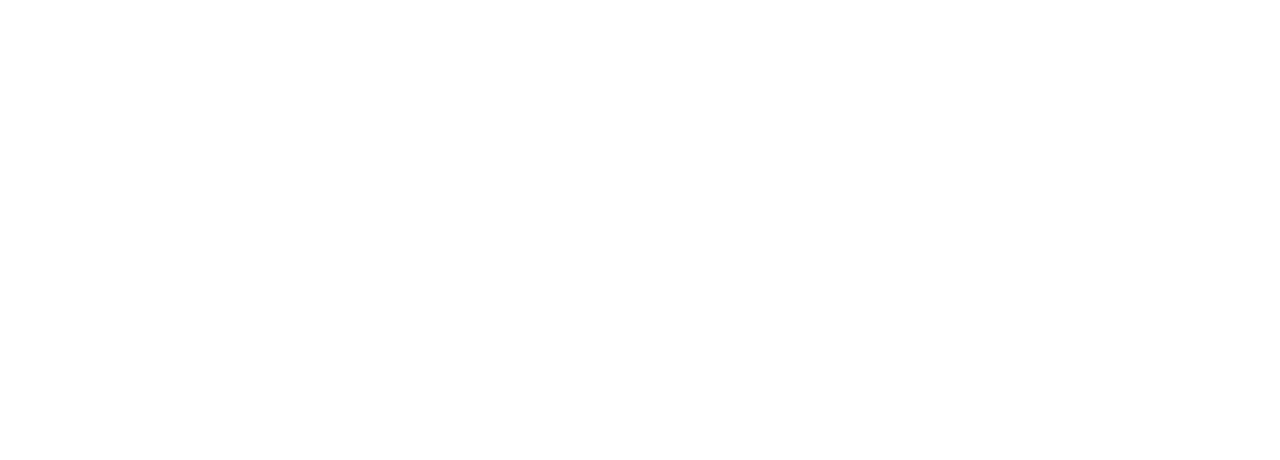 REGENCY Luxury Pontoon Boats