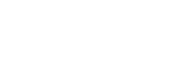 REGENCY Luxury Pontoon Boats