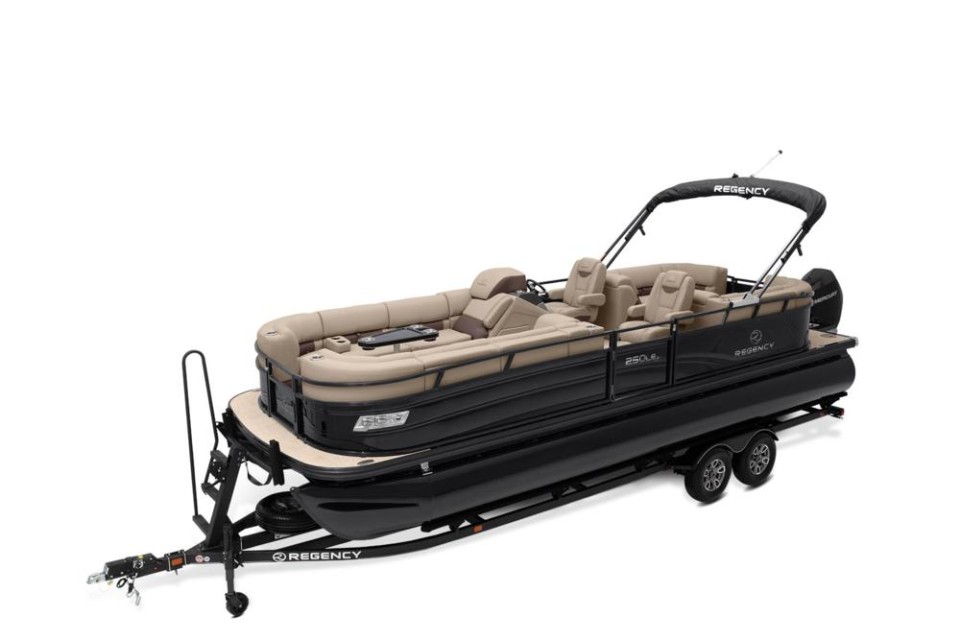 250 LE3 - REGENCY Pontoon Boat
