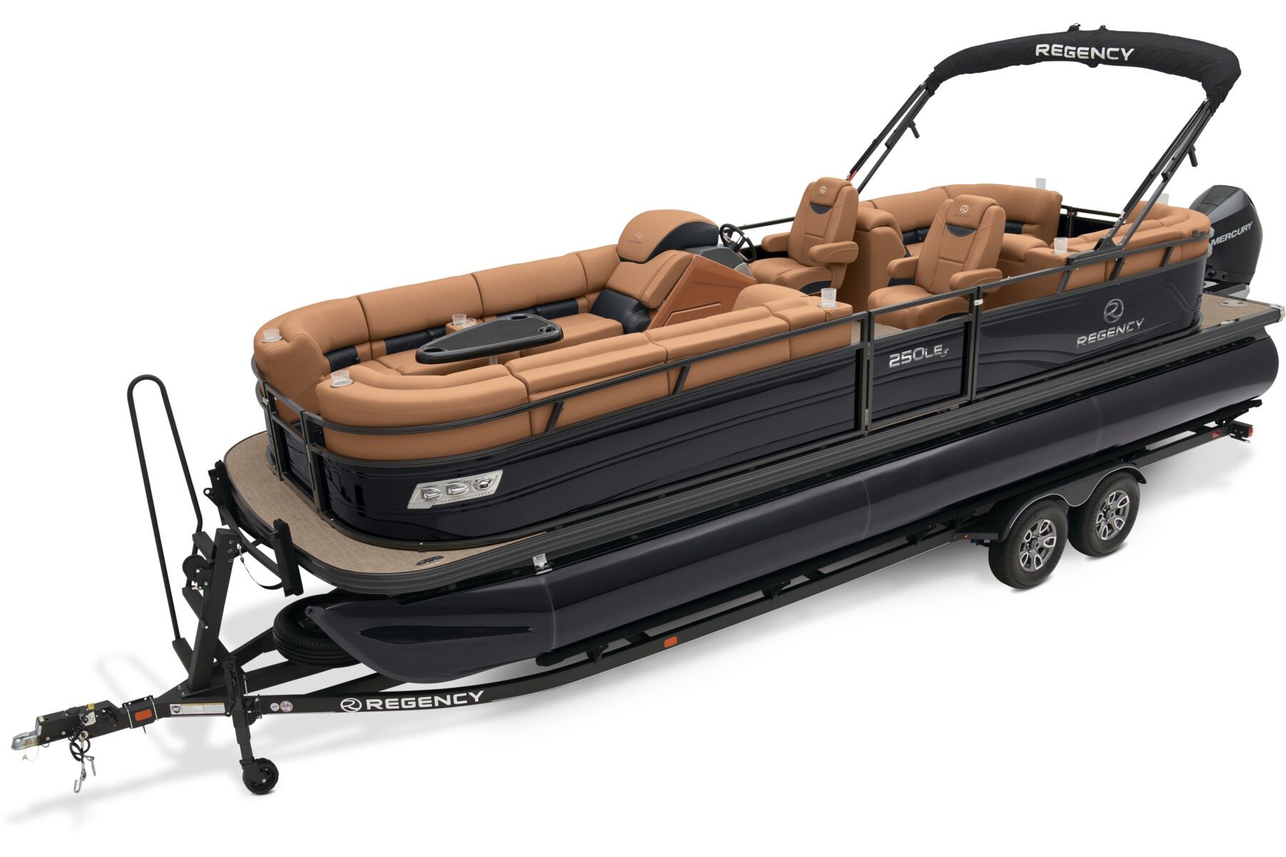 250 LE3 - REGENCY Pontoon Boat